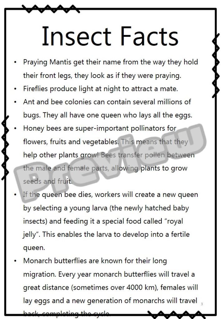 Mad about Insects - The Resourceful English Teacher