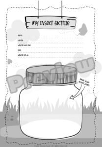 Mad about Insects - The Resourceful English Teacher